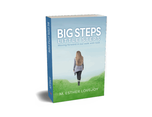 Big Steps, Little Steps | CrossRiver Media